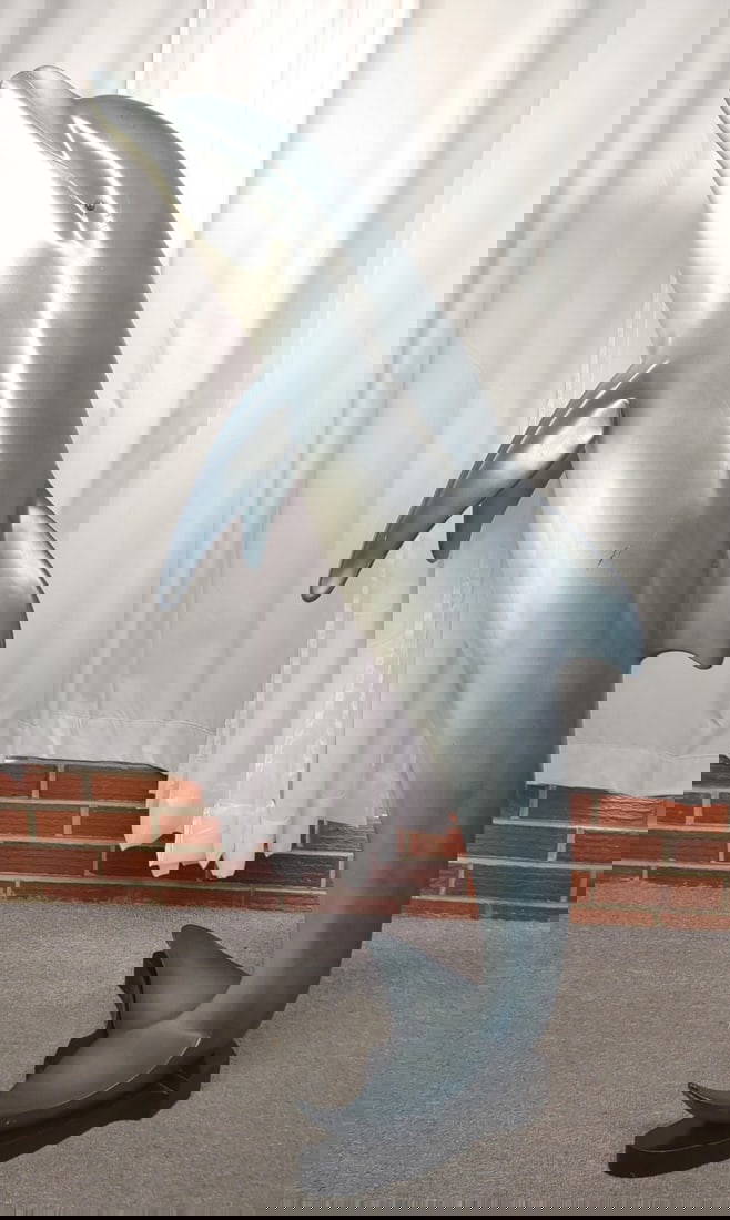 46" Large Leaping Dolphin Statue Auction