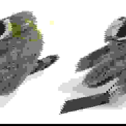 Vintage Animatronic Raccoon Store Display (works) Auction