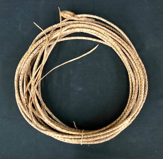 Finely Braided Rawhide Reata - May 14, 2022 | Western Trading Post in AZ