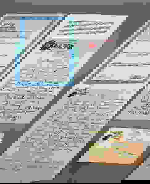 Two Original Buffalo Bill Letters Auction