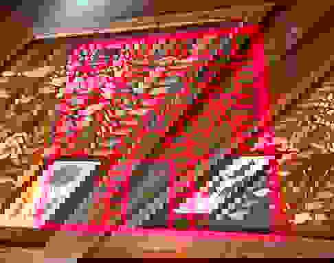 Framed Artifacts Display Auction