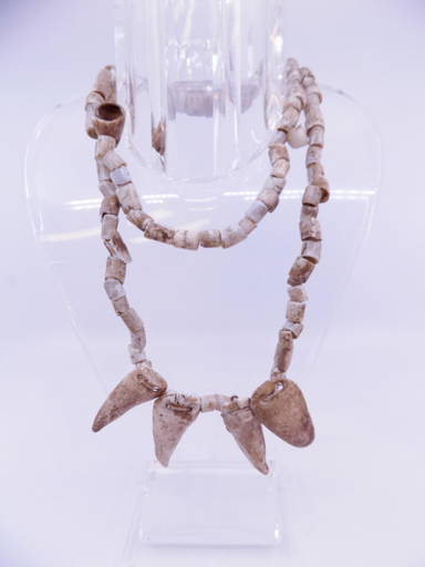 Pre-Columbian Mayan Shell Necklace (#0022) on Aug 18, 2022 | Auctions 4 ...