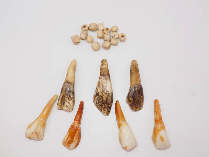 American Indian Elk Teeth Pendants And Beads