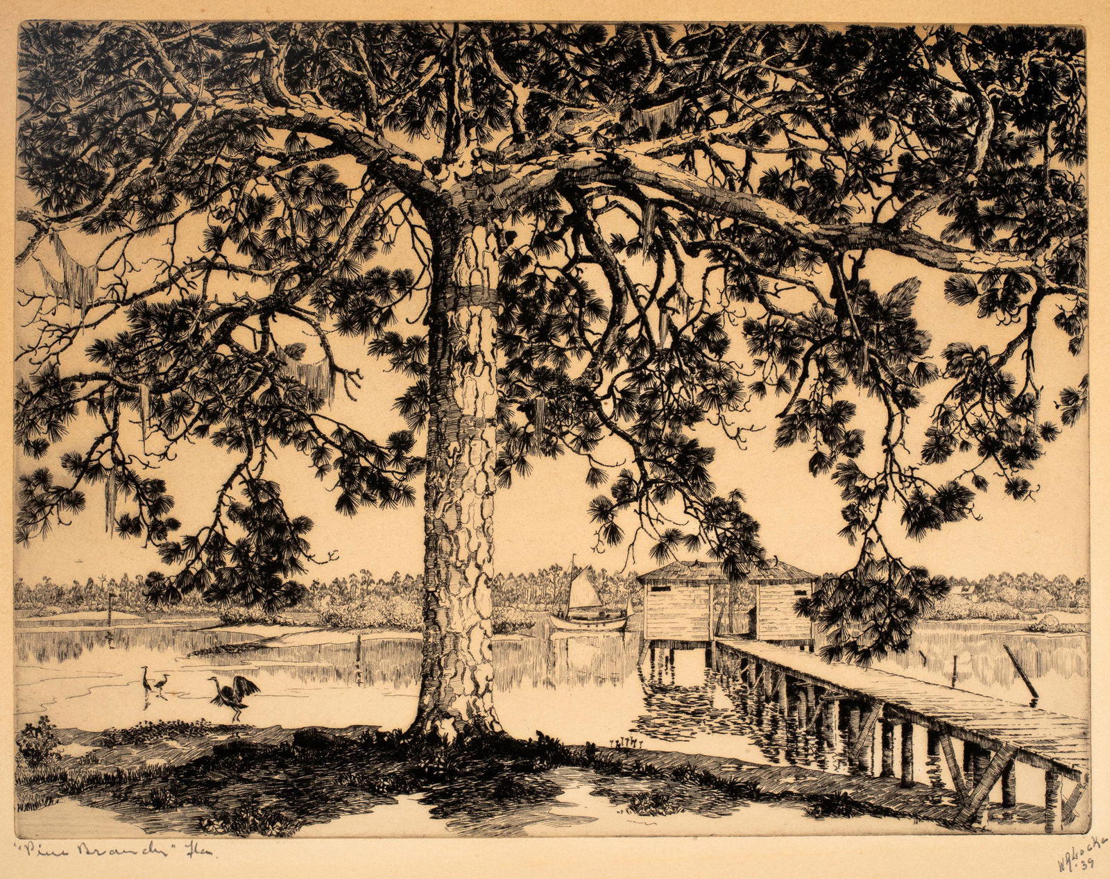 Walter Locke (20th Century), Pine Branches Florida, 1938