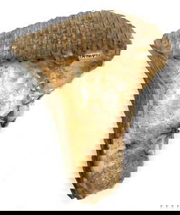 Collectible Rocks, Minerals & Fossils for Sale in Online Auctions - Page 2