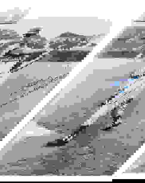 Don Demeter - Mlb Baseball: La Dodgers - Autographed 8x10 Photo Auction