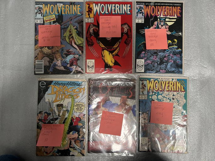 6 Rare Vintage Comic Books Wolverine,, The Sandman,dragon Lines, All In ...