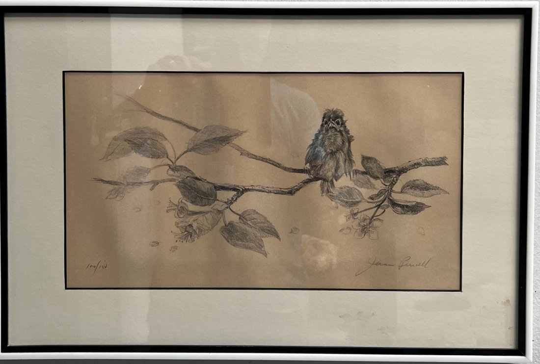 Joan Purcell "the Bird" Hand Signed In Pencil Numbered Auction