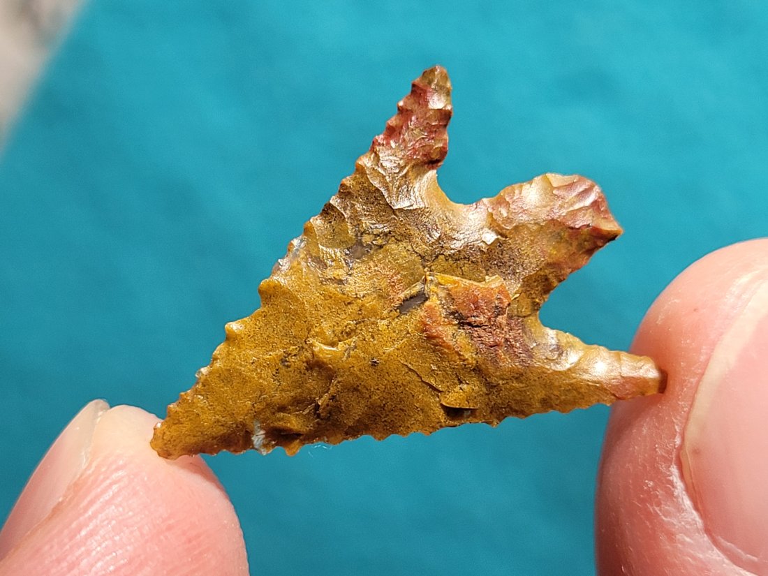 COA "GUNTHER" AUTHENTIC ARROWHEAD ARTIFACT COLLECTION JACKSON COUNTY ...