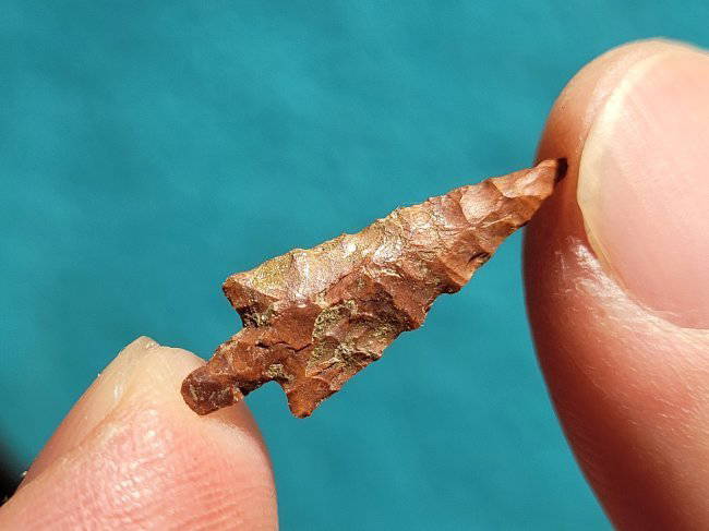 AUTHENTIC ARROWHEAD ARTIFACT EX HERB SNELGROVE COLLECTION COLUMBIA ...