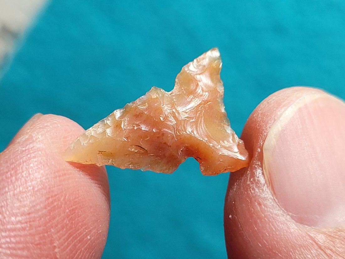 AUTHENTIC ARROWHEAD ARTIFACT EX HERB SNELGROVE COLLECTION COLUMBIA ...