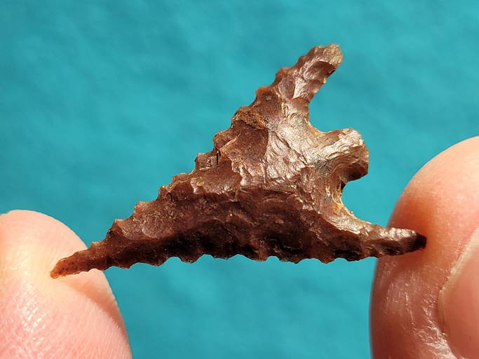 COA GUNTHER AUTHENTIC ARROWHEAD ARTIFACT JACKSON COUNTY OREGON EX DEAN ...