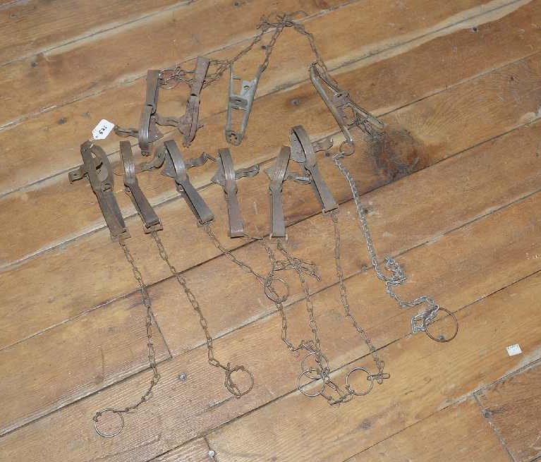 8 VICTOR LEG HOLD TRAPS,