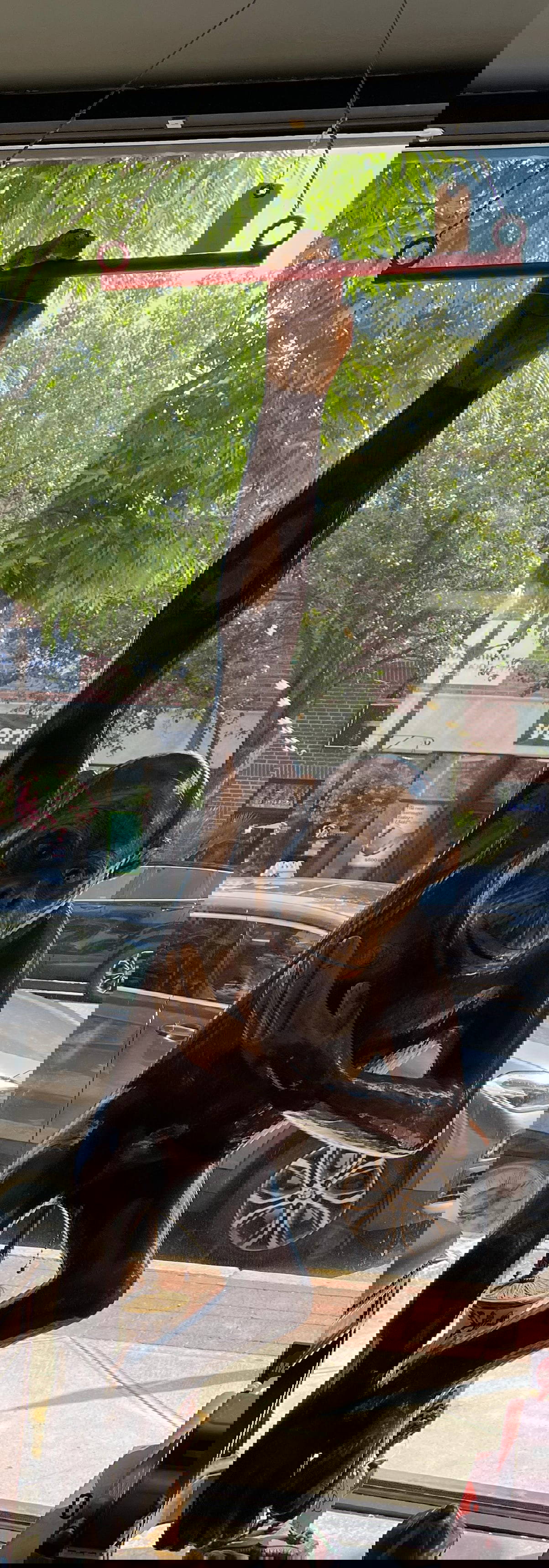 Sergio Bustamante Hanging Monkey Auction