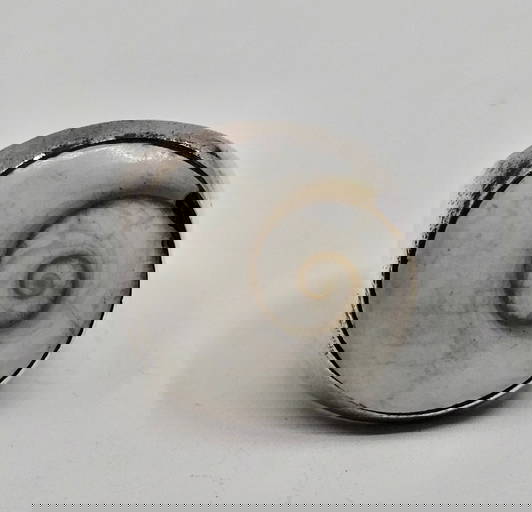 Sterling Silver Shell Ring