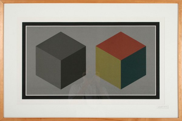 Sol Lewitt, Two Cubes