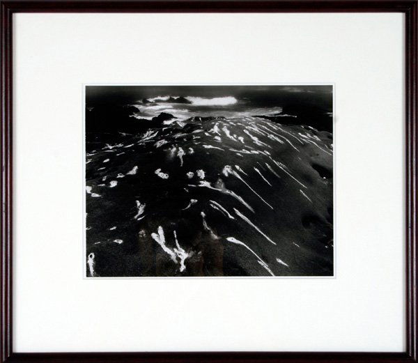 239: Minor White, Bird, Lime and Surf, Point Lobos