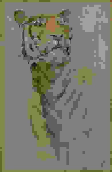 John Macallan Swan, Tiger