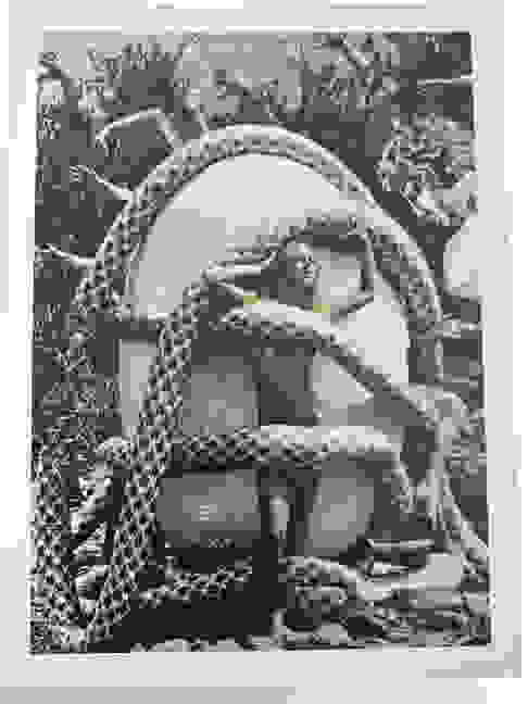 Playboy Legacy Collection - Salvador Dali, 1973, By Pompeo Posar Auction