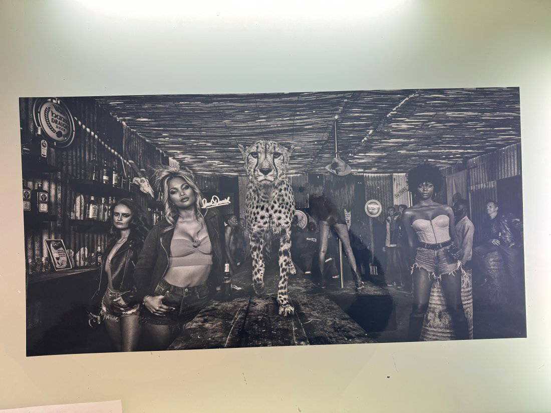 David Yarrow - Cheetah Bar, 2022 - Signed By David Yarrow - With Coa Of ...