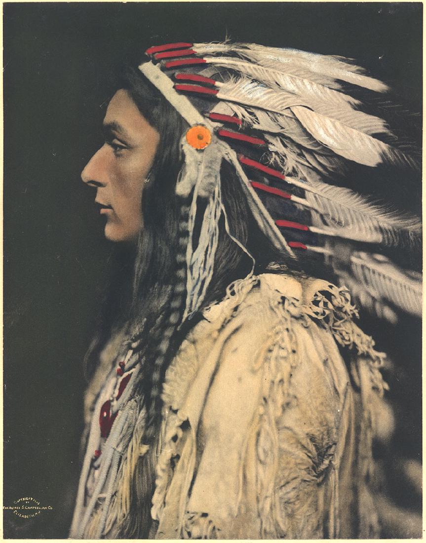 The Alfred S. Campbell Art Co.: Native American with