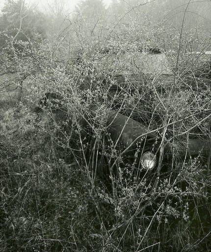 Brian Lav: Truck In Weeds