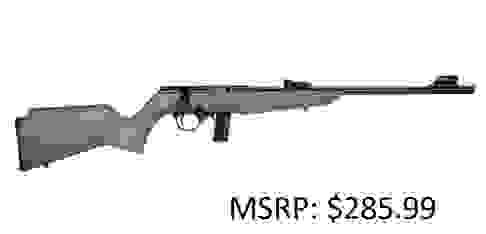 Rossi Rb22 Compact 22 Lr Rifle Auction
