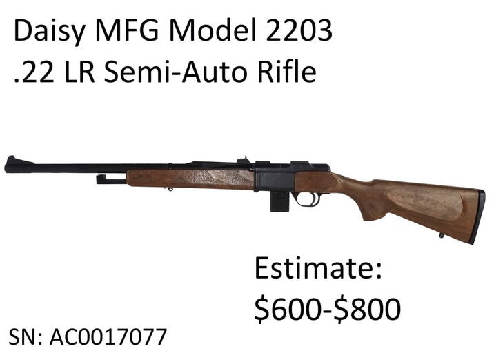 Daisy Mfg Model 2203 .22 Lr Semi Auto Rifle