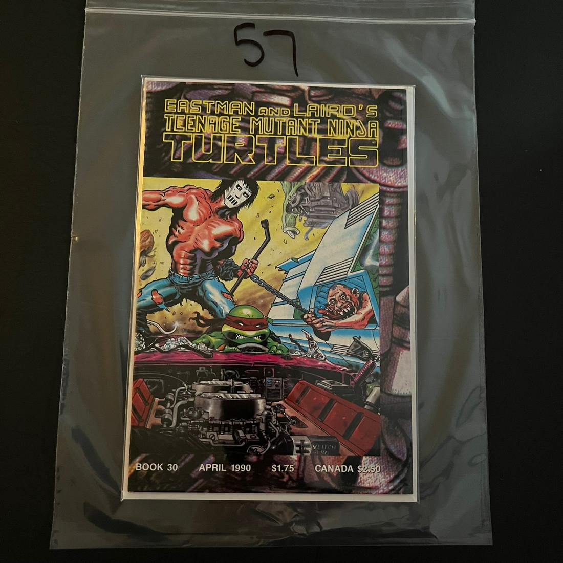 Teenage Mutant Ninja Turtles 30 Mirage 1st Series Auction