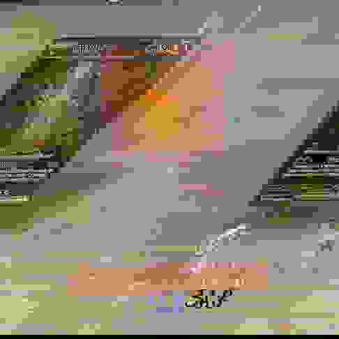 Chi-yu Ex Alt Art Pokemon Card Auction