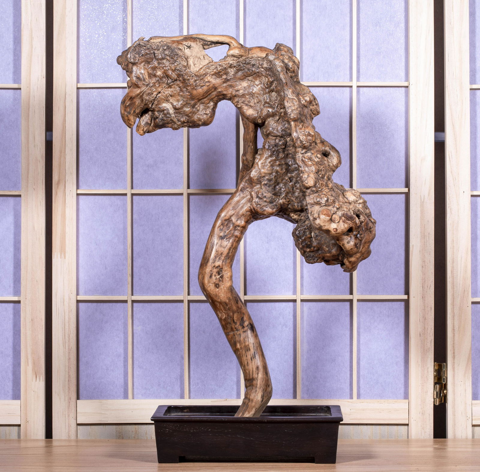 Populus euphratica root carving bonsai in Qing Dynasty - Nov 07, 2022 ...