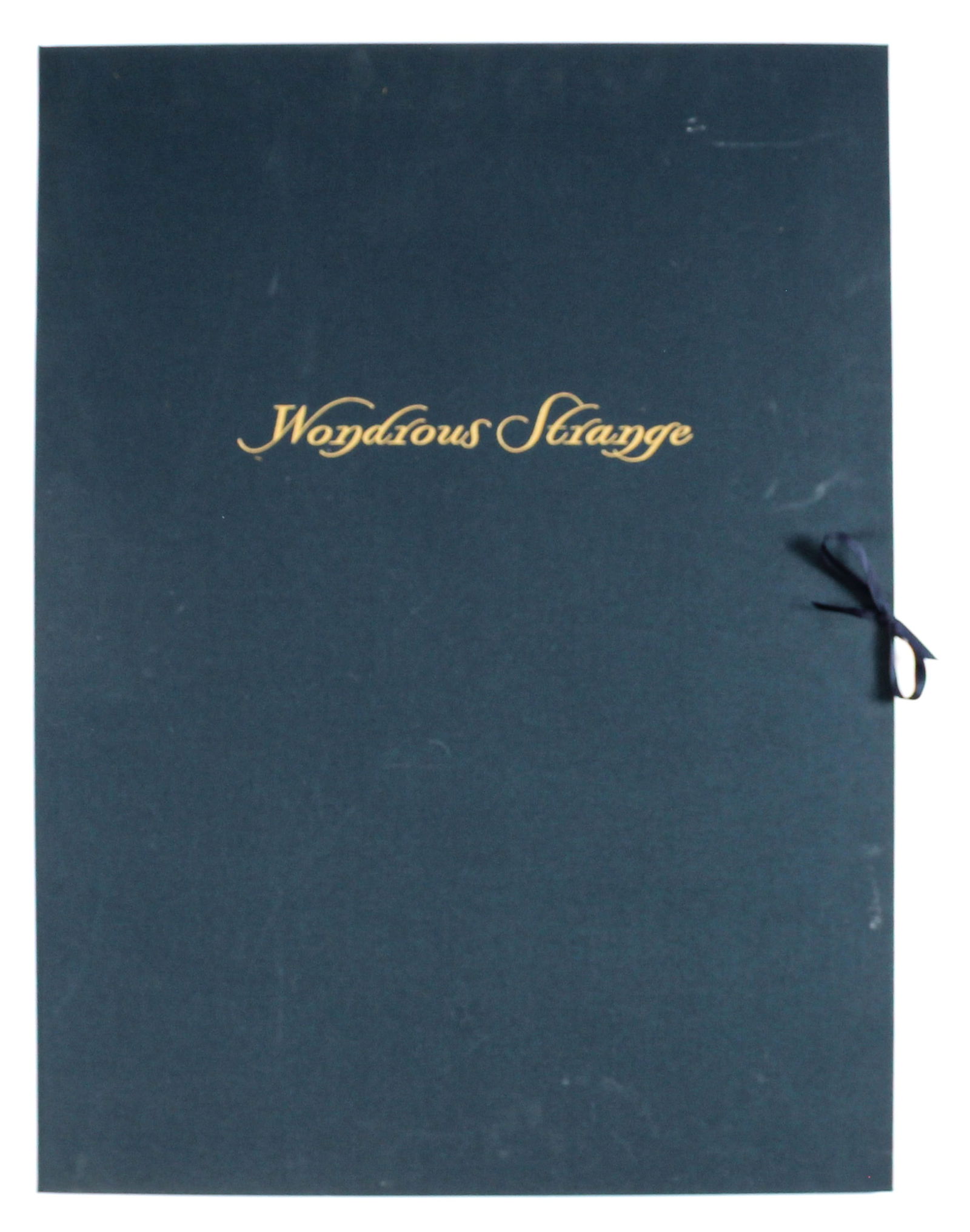 Andrew And Jamie Wyeth 'wondrous Strange' Exhibition Portfolio From The ...