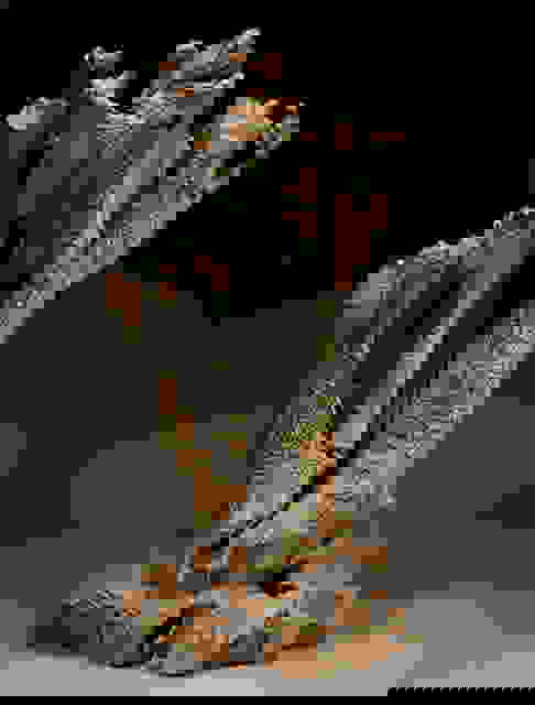 Qing Dynasty Qi Nan Chen Xiang Shan Zi Auction