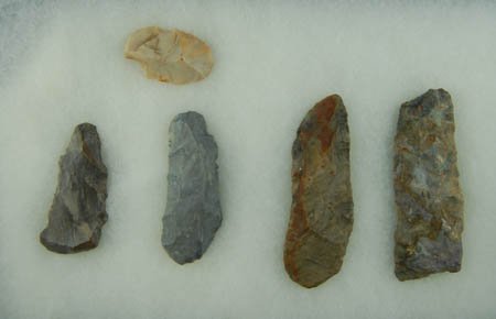 164: Set of 5 Paleo tools.