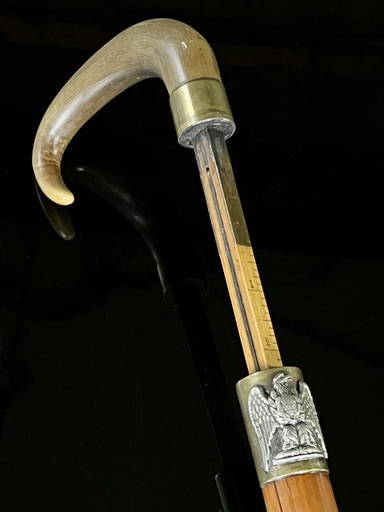 Horse Measuring Cane With Silver Eagle