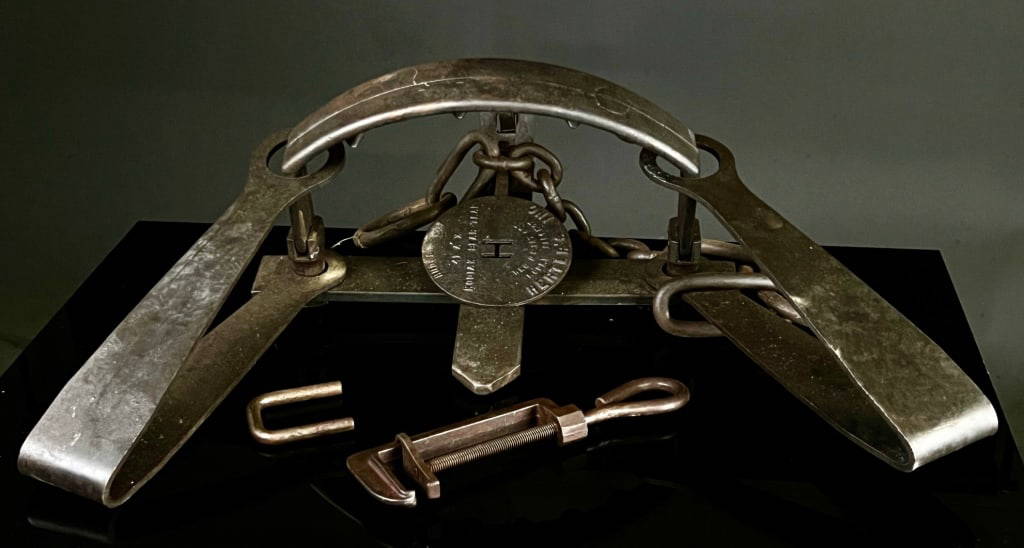 Herter's #6 Kodiak Bear Trap Auction