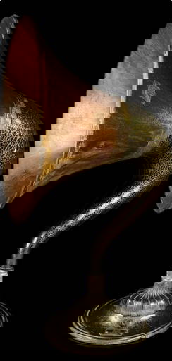 1925 Music Master Concert Horn