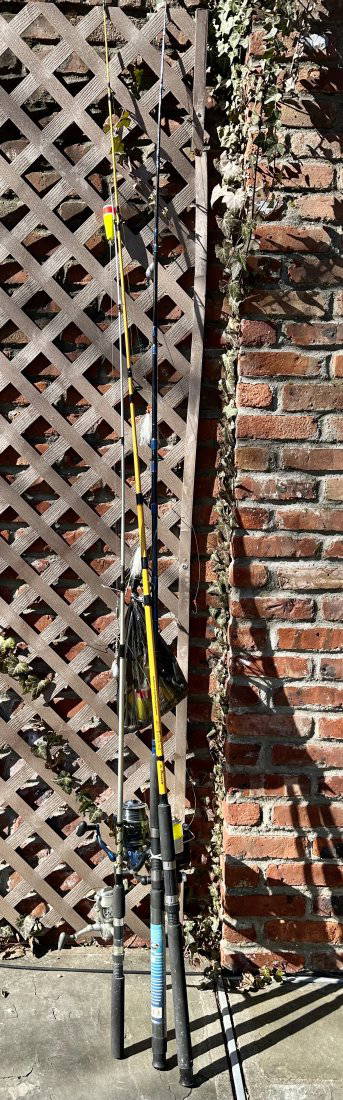 Brand New Set Of Three High End Fishing Rods Auction