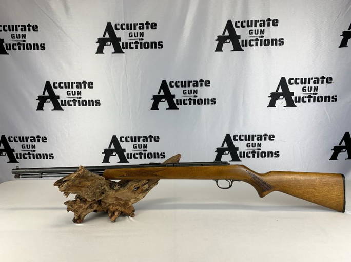 Savage Arms 887 .22 Lr