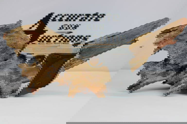 Phoenix Arms Hp22 .22lr