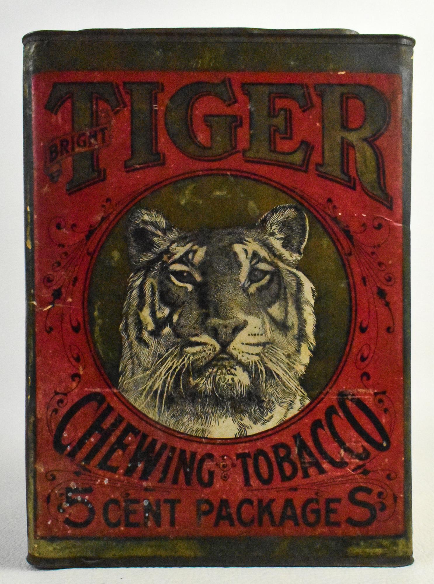 1898 Tiger Tobacco Tin Auction