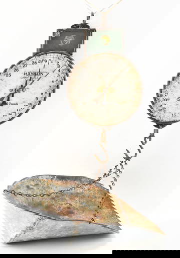 Hanson 60lb Dairy Scale