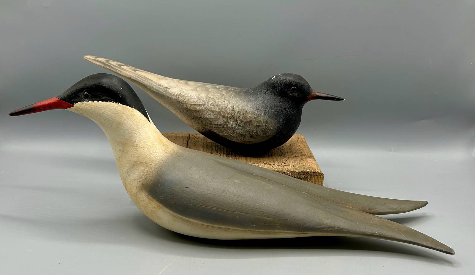 Black Tern By "sab" And A Common Tern Decoy Auction