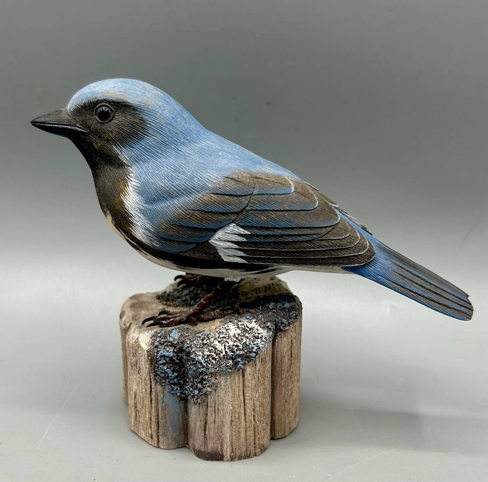 A Black-throated Blue Warbler By Bird Hug Studio Auction