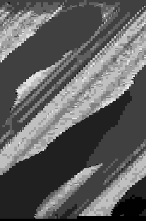 Bill Emrich - Male Nude Auction