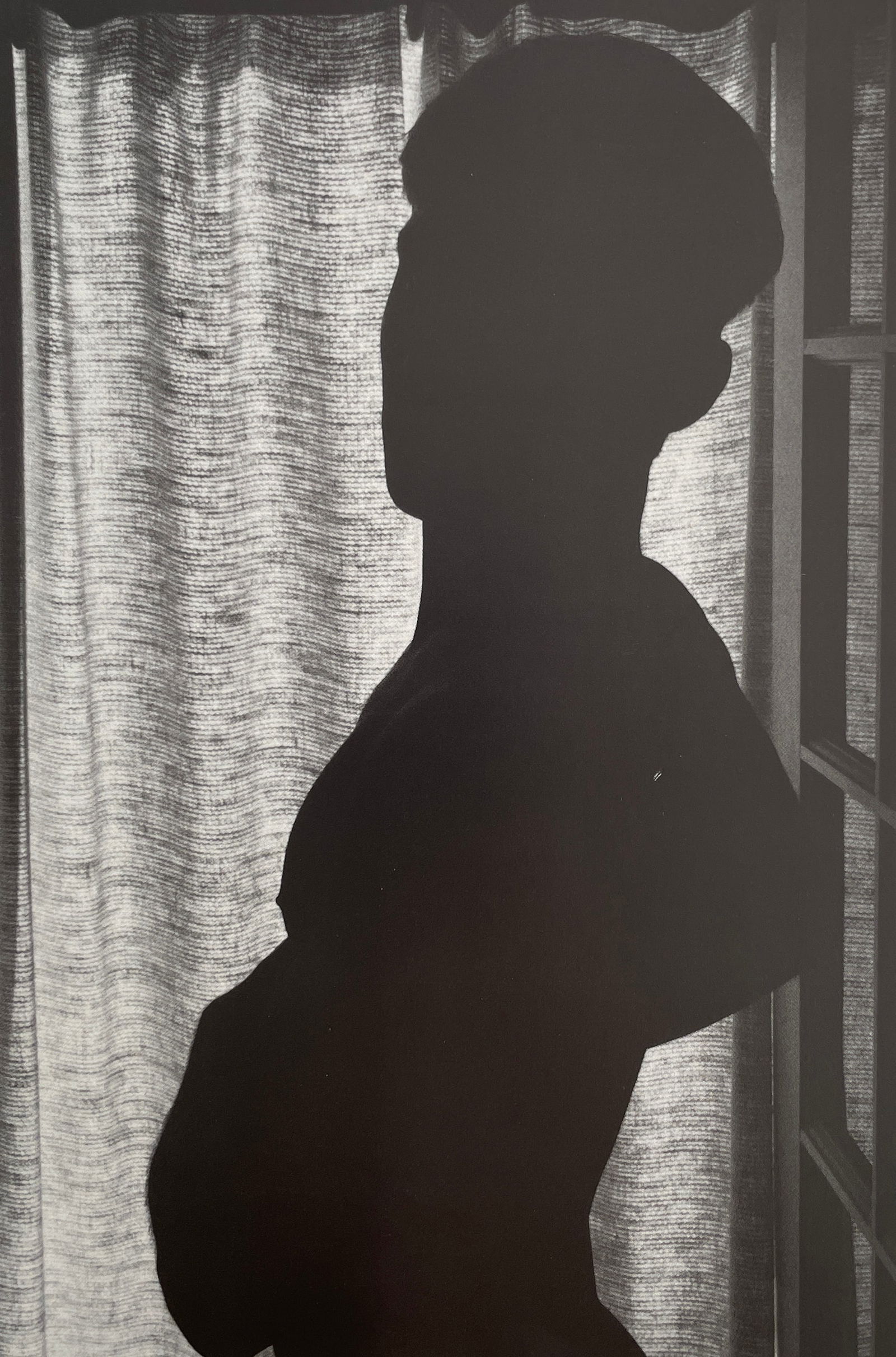 Bill Emrich - Male Nude Auction