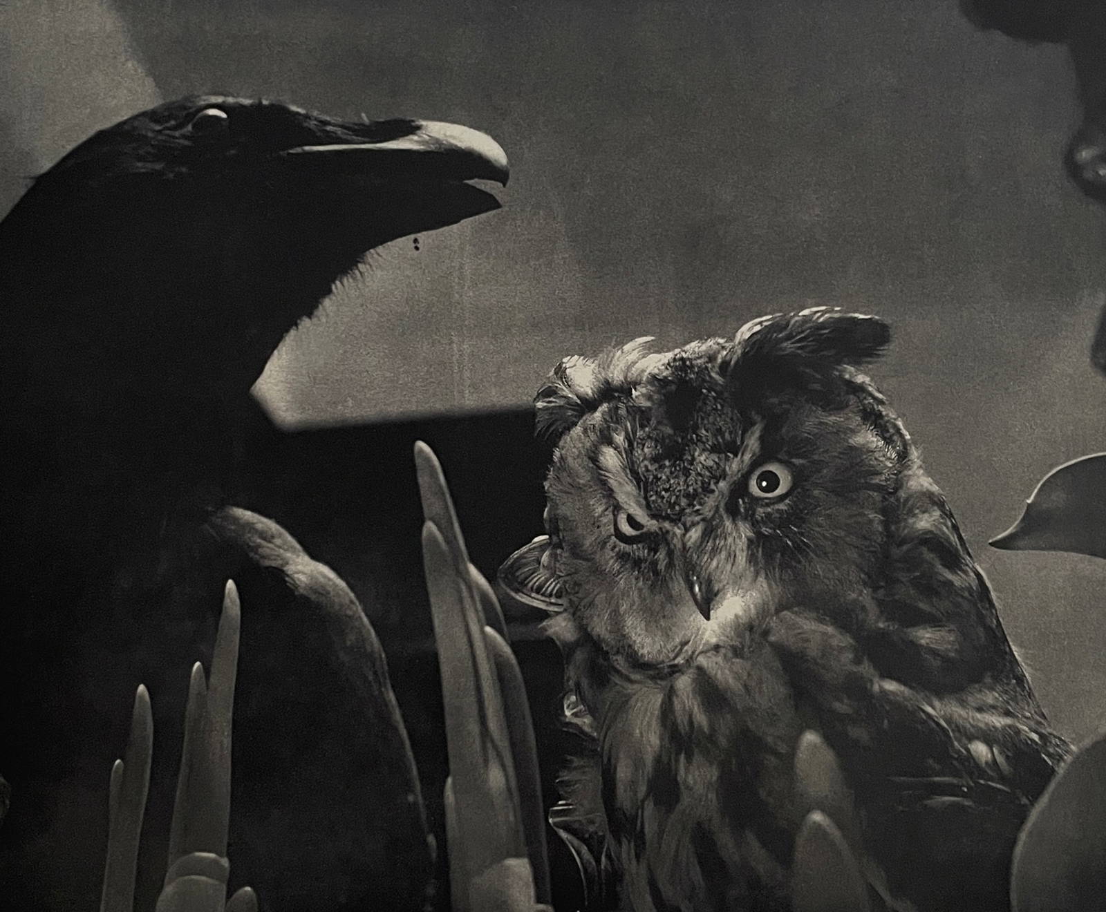 Buy Jim Dine - Now Wait A Minute, 2000 | Sapphire Auction Gallery In De