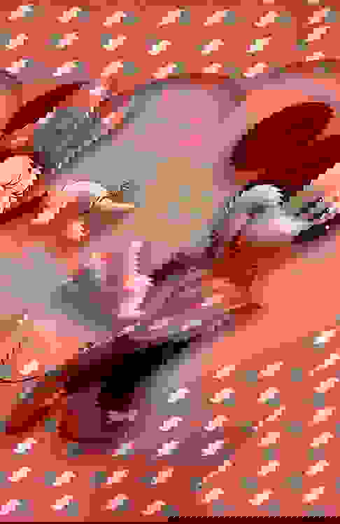 Minnie Mouse, Original Oil On Canvas Auction