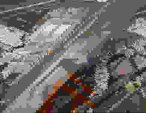 John Divola - Zuma #14, 1977 Auction