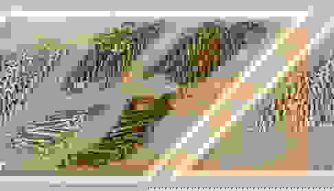 Group Of (76) Vintage Assorted Skeleton Metal Keys Auction